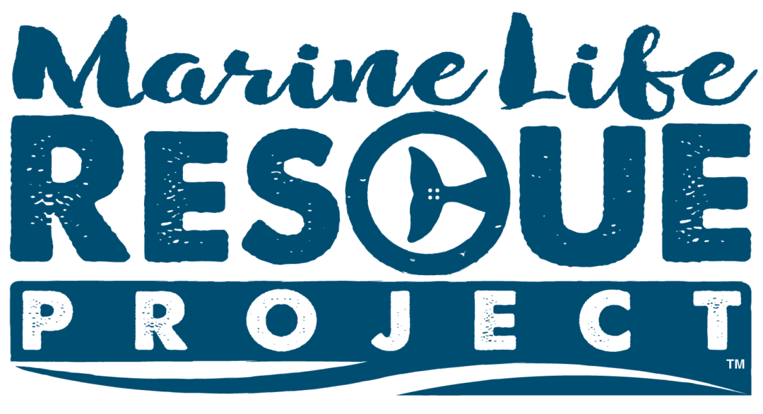 Marine Life Rescue Project™ 🌊
